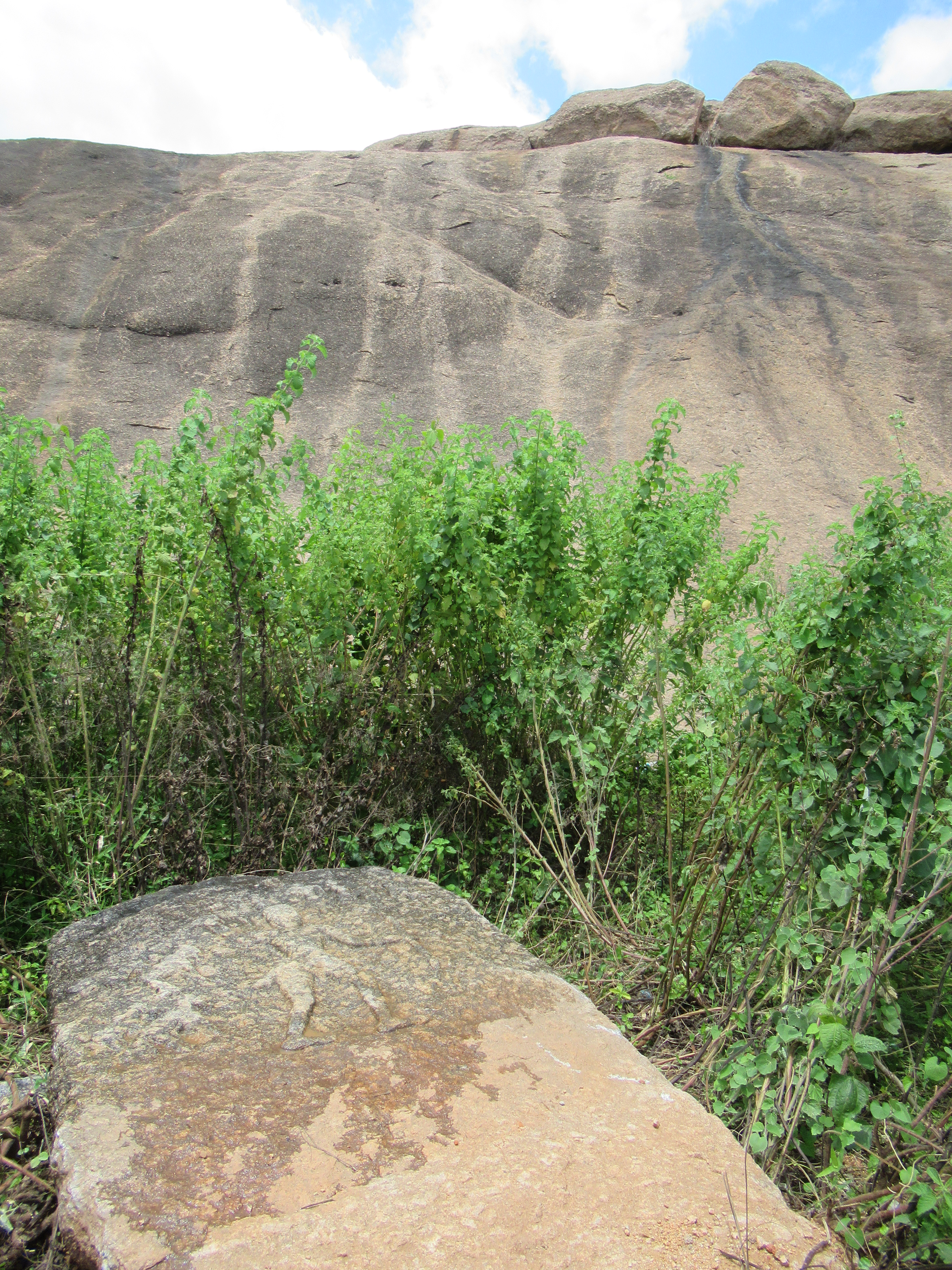 A trek to the first millennium at Aijuru