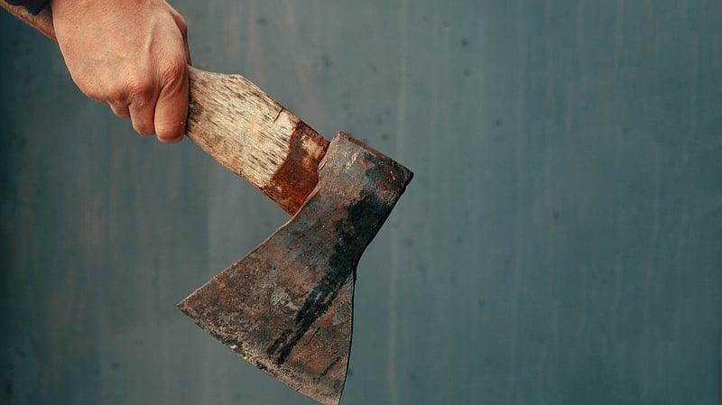 DH Evening Brief: New pipeline at Uttarkashi tunnel collapse site ...