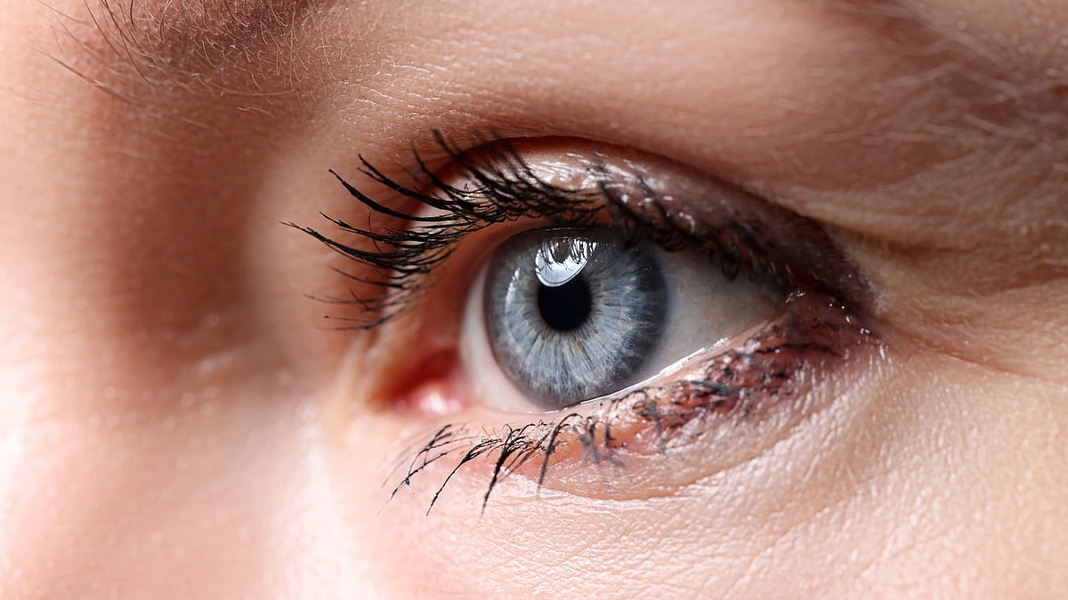 Surgeons in New York announce world's first eye transplant
