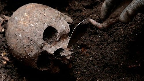 Human skeleton found in damaged car in Delhi canal; body of man missing ...