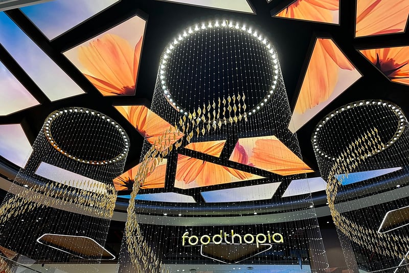 Apple iPhone 15 Plus review: Feature-rich premium phone