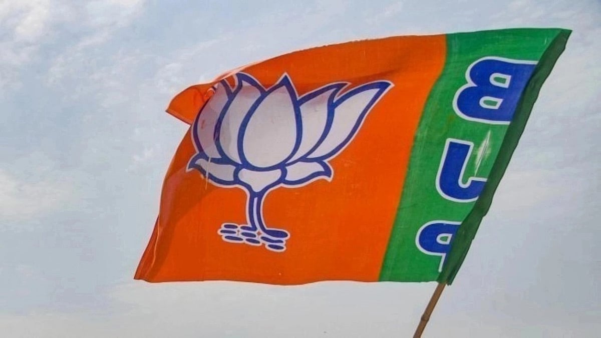 LS polls: 'Overseas Friends of BJP' kicks off US campaign to support party