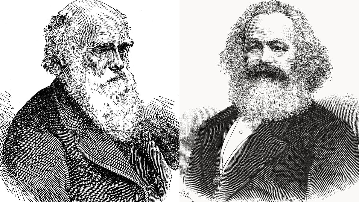 Das Kapital sent to Darwin by 'admirer' Marx returns home