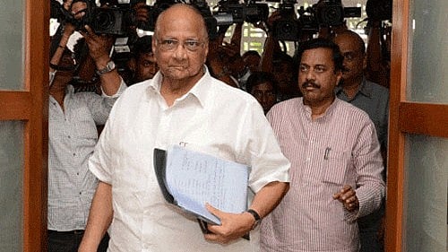 Nilesh Lanke first MLA to rejoin Sharad Pawar's NCP, rewarded with LS seat