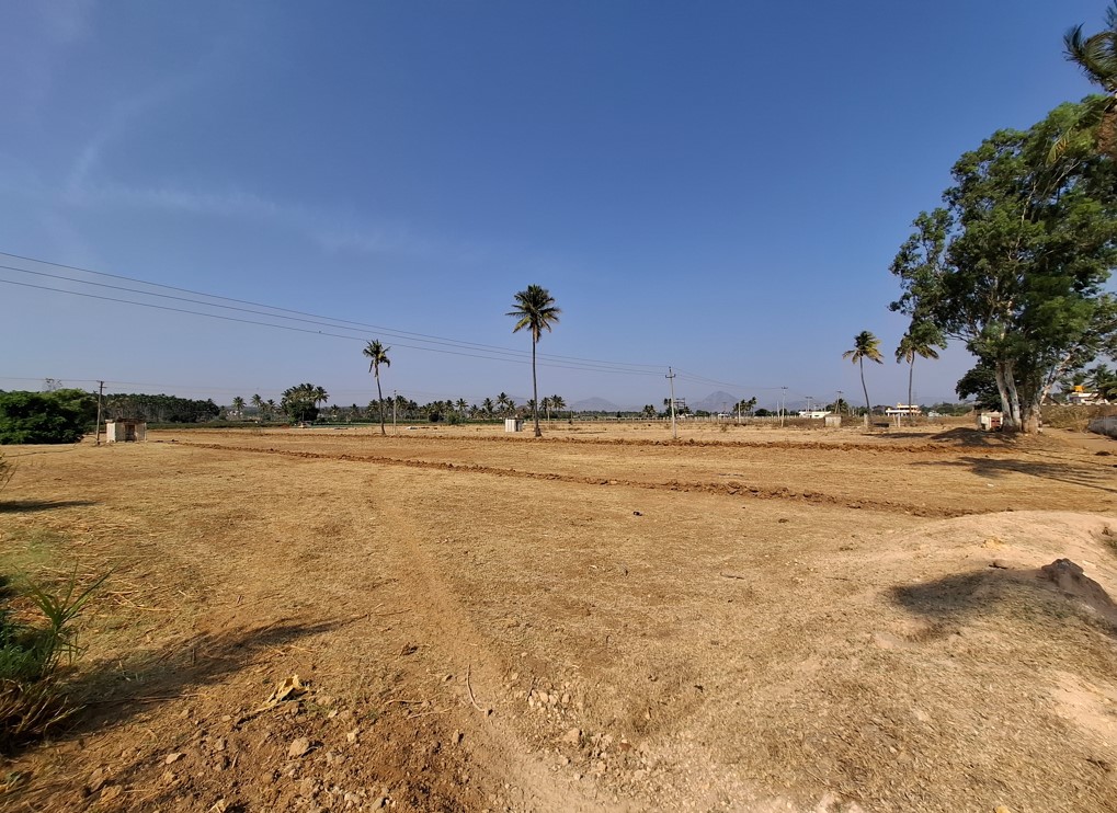 Samsung Galaxy A55 review: Solid mid-range phone with good camera