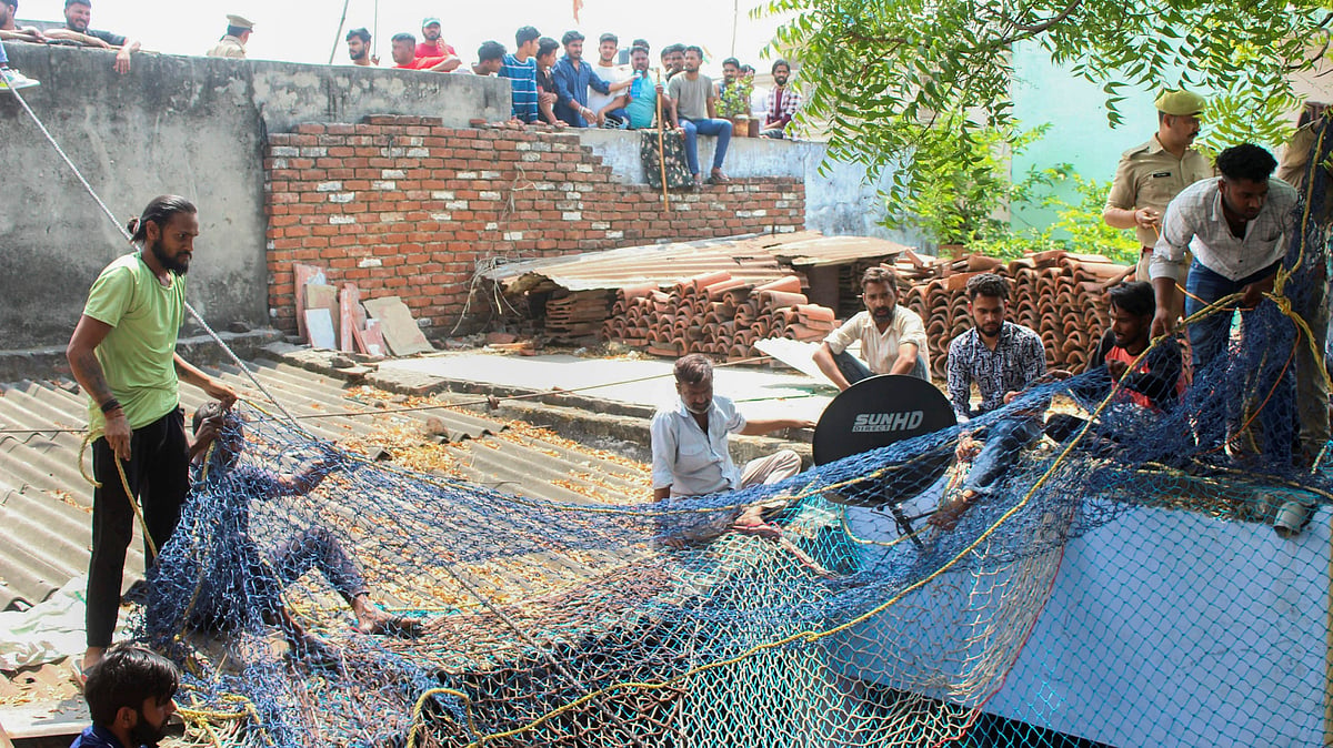 Leopard enters house in UP's Meerut, captured after 8-hour operation