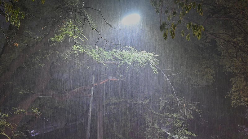 Bengaluru weather news: Bangalore gets rain after six months, more ...