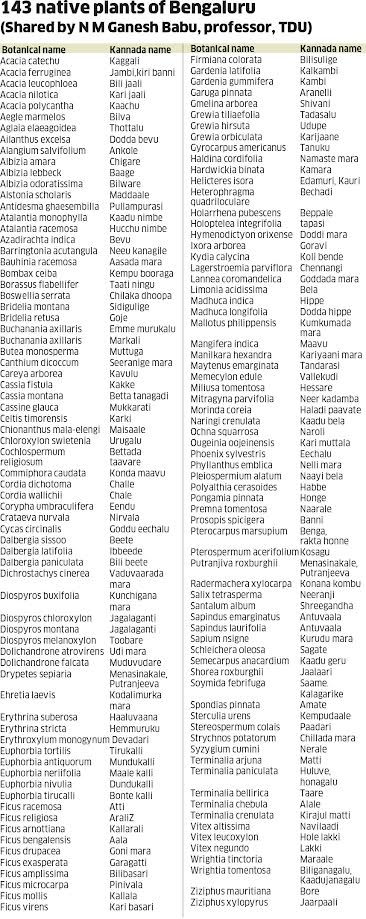 Exotic vs native conundrum: What to plant in Bengaluru?