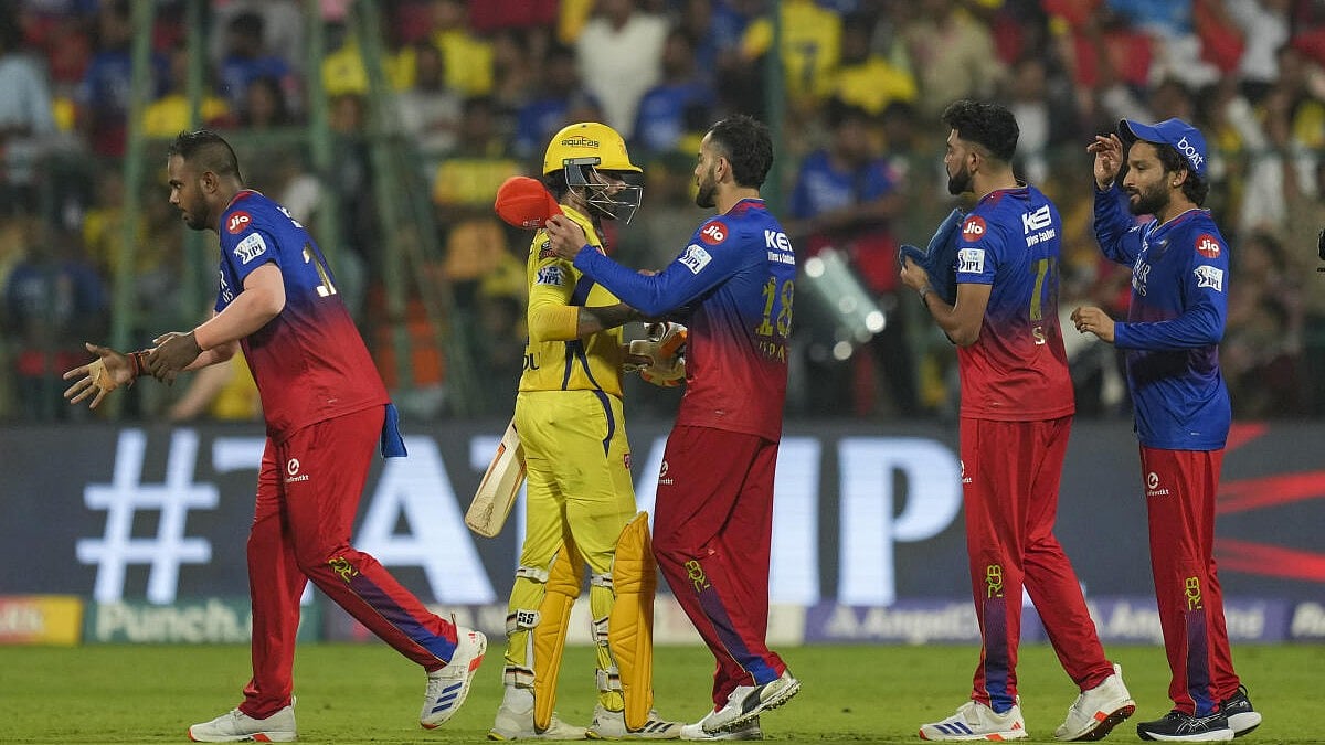 IPL 2024 | RCB survives a scare to grab final IPL play-off berth with ...