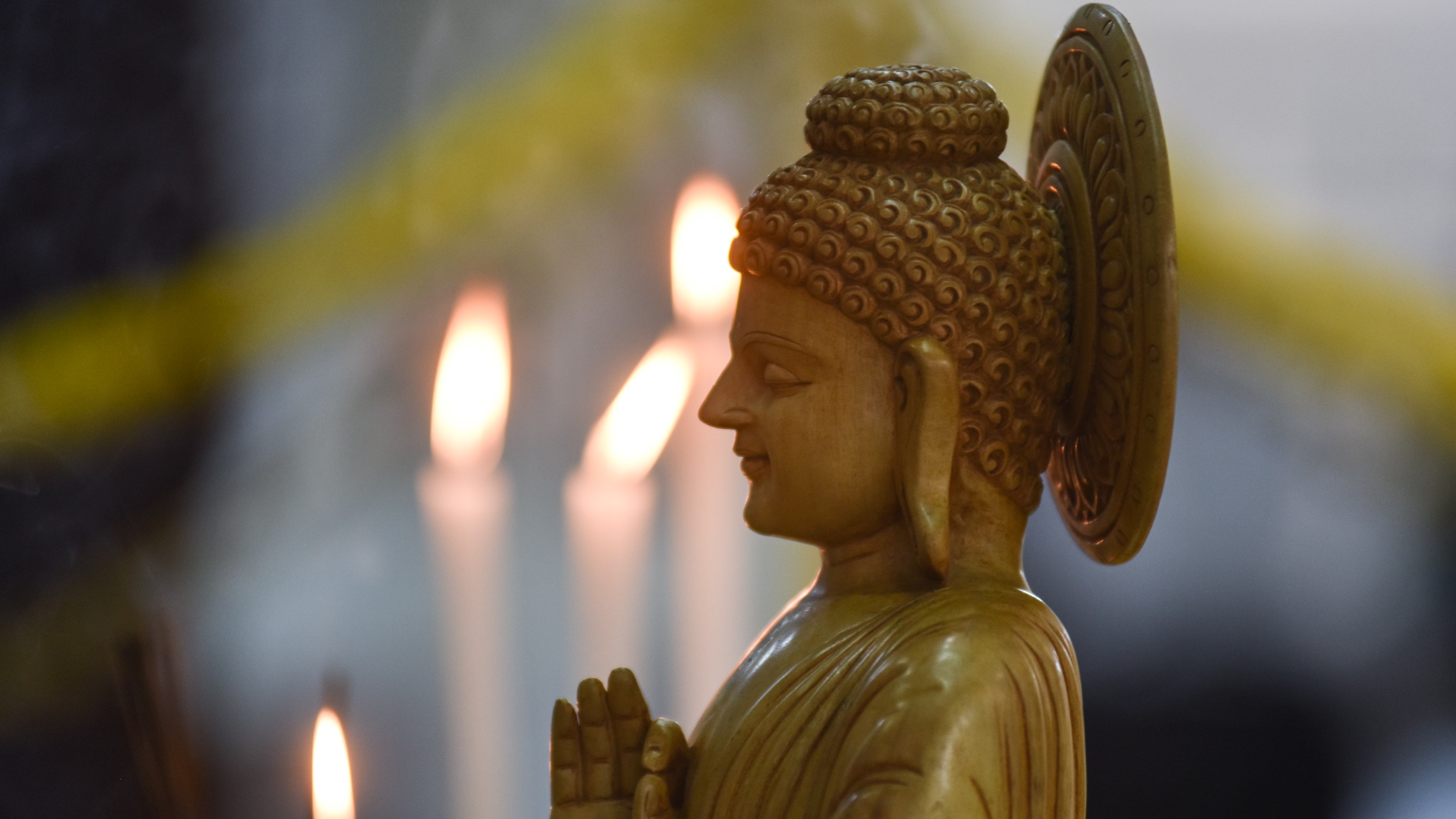 Vaishakha Purnima 2024: Dos & Don'ts to follow on this auspicious day of Buddha Purnima