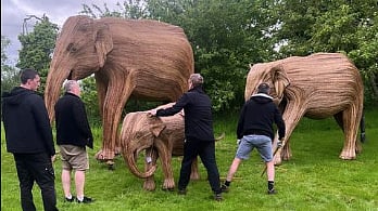 UK ex-PM Boris Johnson marks birthday with life-size wooden Indian ...