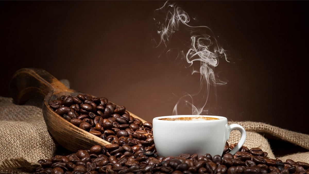 Bengaluru to host India International Coffee Festival