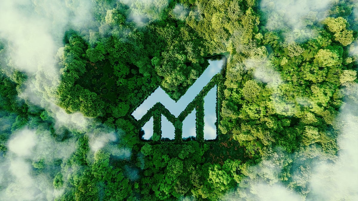 Union Budget 2024: Budgeting for green growth
