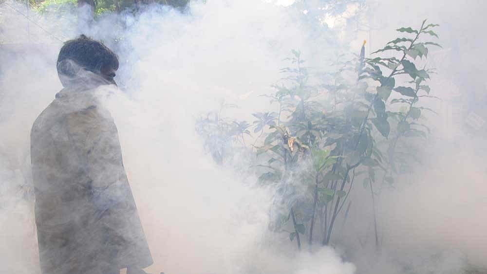 Bengaluru sees sharp drop in dengue, but monsoon brings fresh health risks