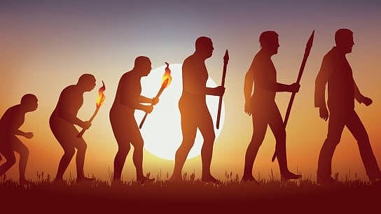 Primate power plays and human politics