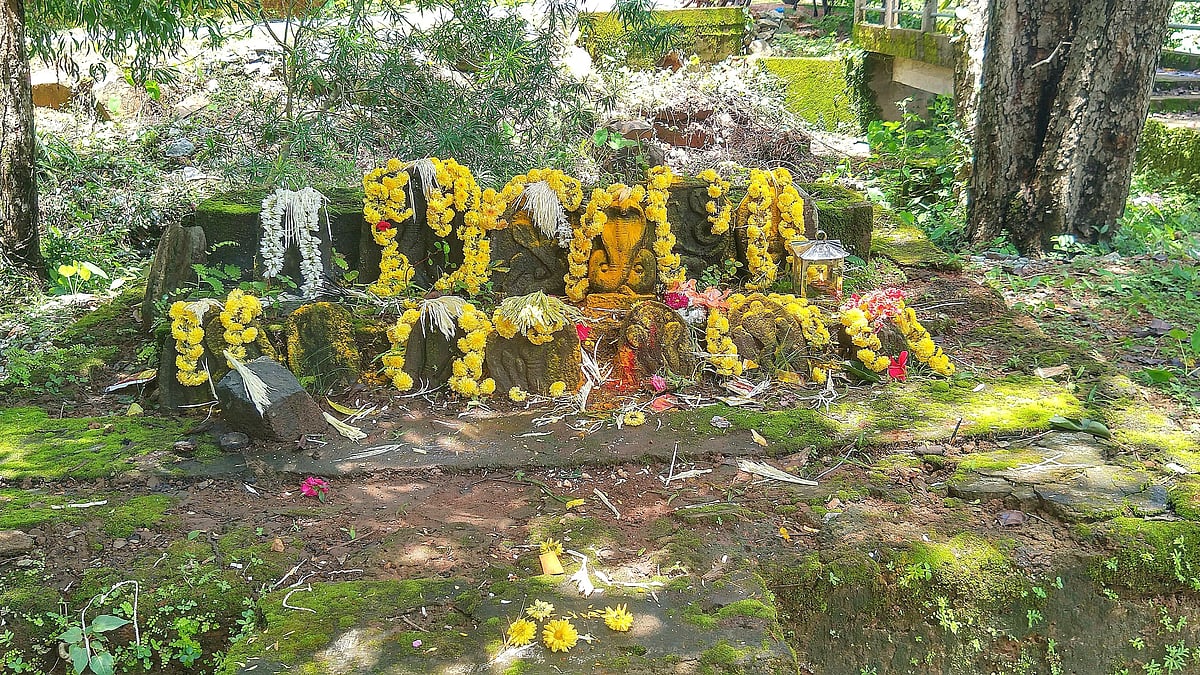 Celebrating nature in the sacred groves of Tulunadu