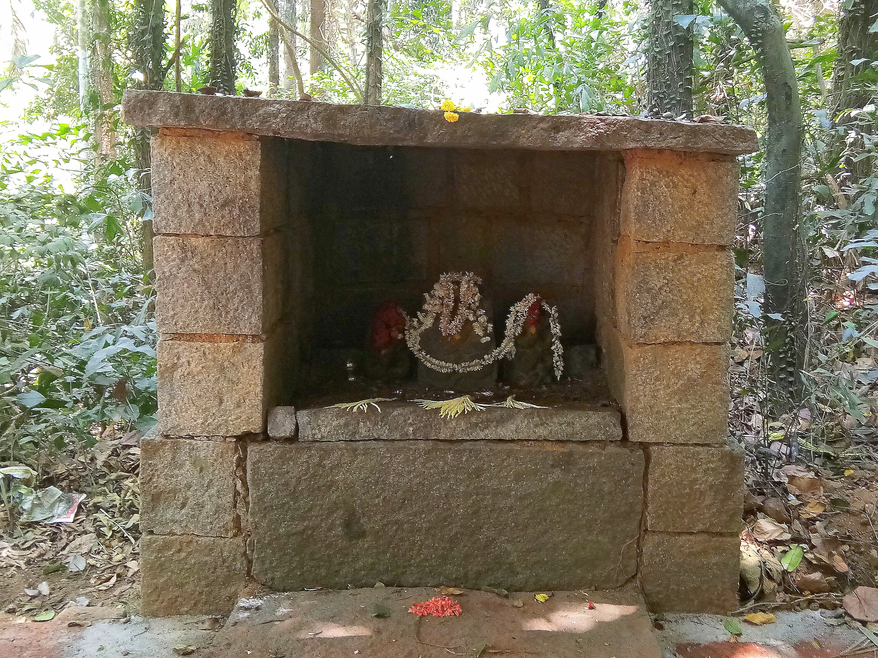Celebrating nature in the sacred groves of Tulunadu