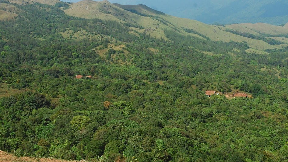 Hassan news: Quarry jolt to 400 acres of Hassan deemed forest