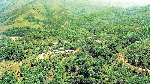 Kudremukh Trekking Ban: Forest Fires Prompt Temporary Halt