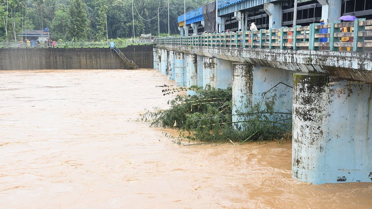 Wayanad landslide: Once known for presence of gold particles, Kerala's ...