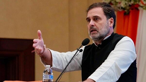 Trouble for Rahul Gandhi? PIL in Allahabad High Court seeks CBI probe ...