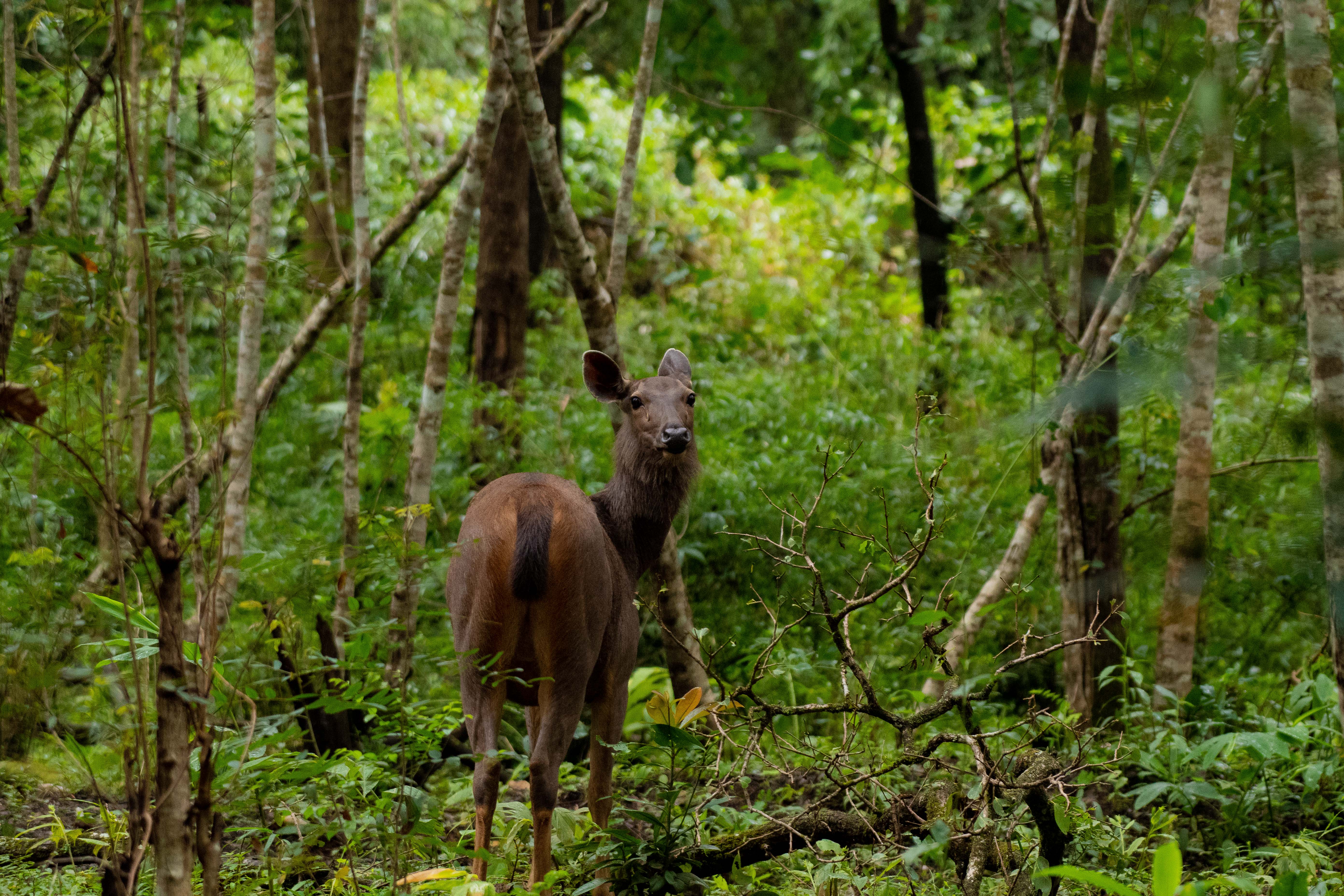 Welcome to Jagara Valley