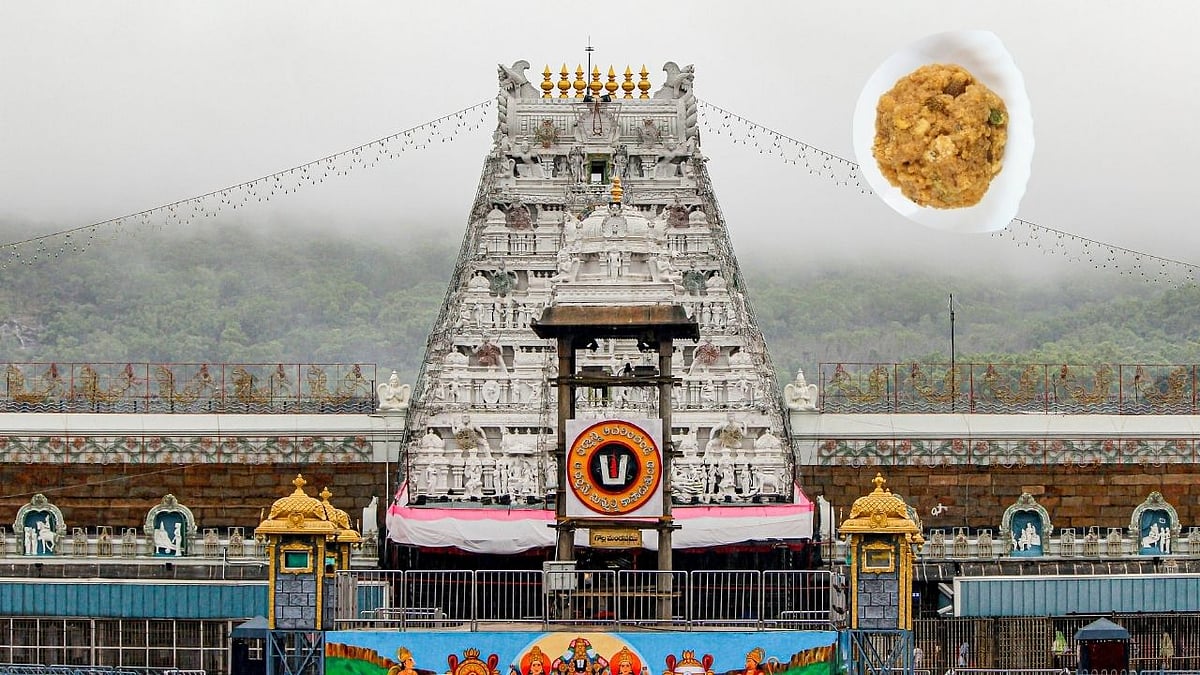 Tirumala Laddu Sales: Record High Despite Controversy