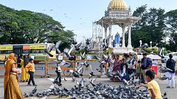 MP YKC Wadiyar: Law needed to prevent pigeon menace affecting Mysuru Palace