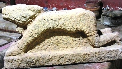 Mahisha are rulers and deserve to be worshipped, says researcher