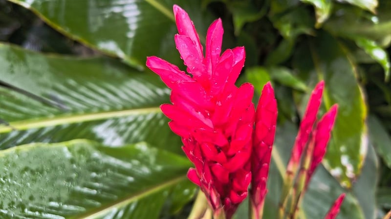 Motorola Edge 50 Neo review: Reliable phone with good camera and ...