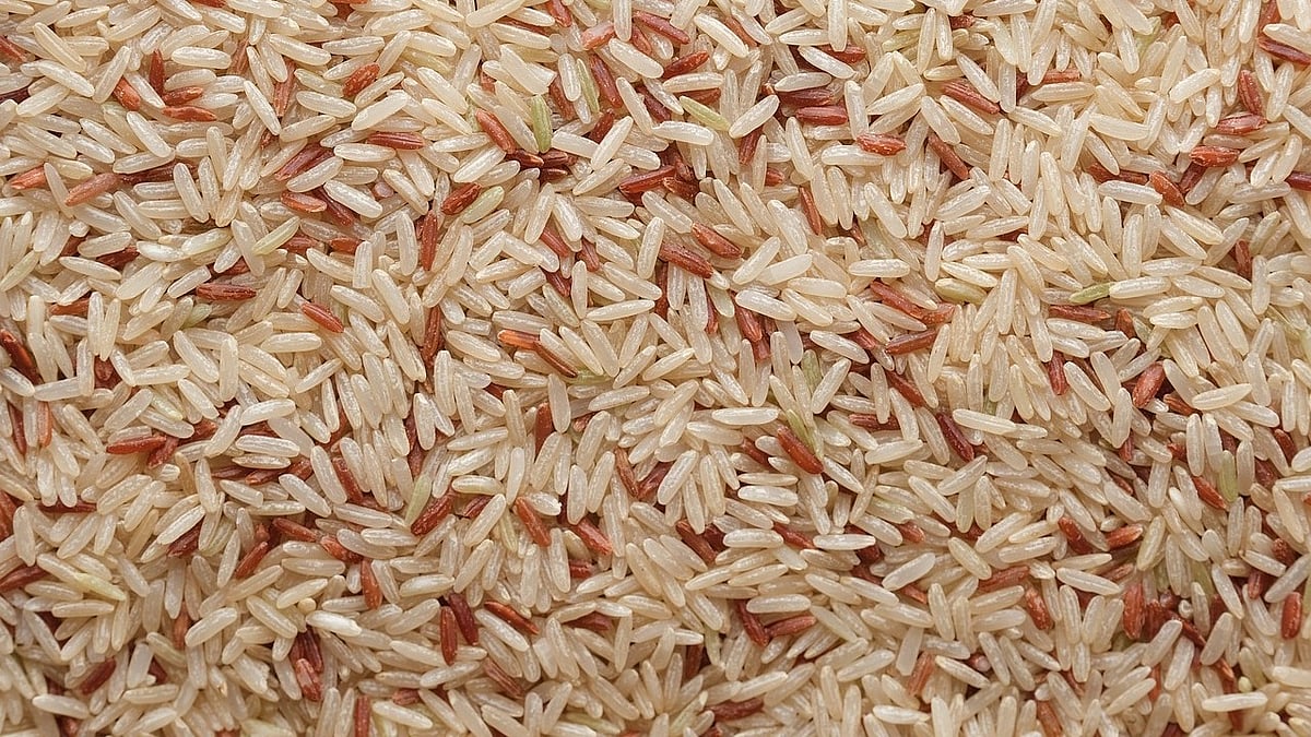 Government launches Phase-II of subsidised wheat flour, rice sale under ...