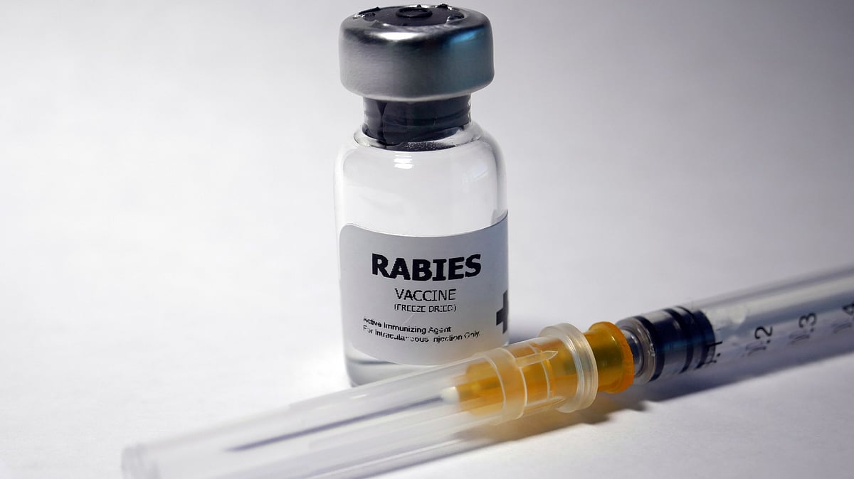Indian Firm Seeks Review of Australia Advisory on Rabies Vaccine