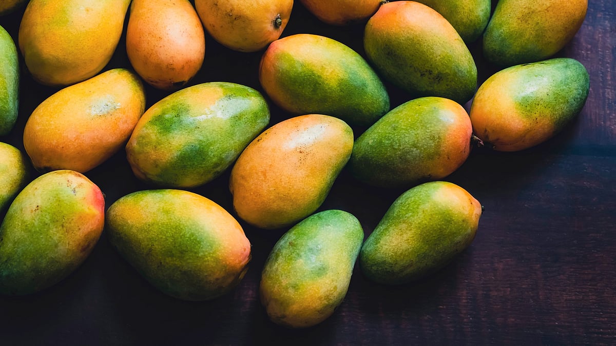 Odisha mango kernel incident: Another woman dies, toll mounts to three
