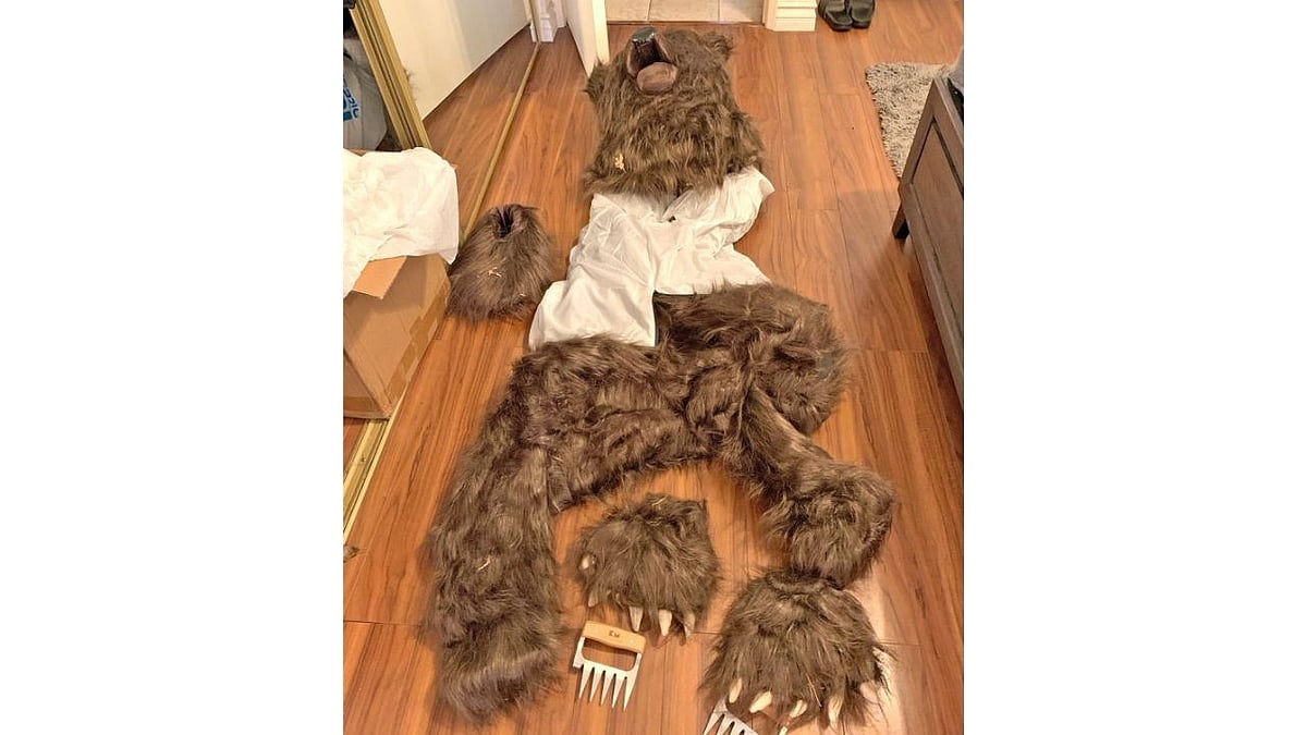 Human in bear suit was used to defraud insurance companies, officials say