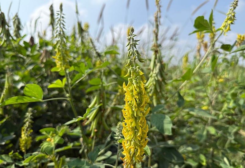 Apple iPhone 16 Pro Max review: Powerful mobile with meaningful upgrades