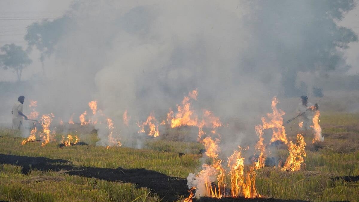 Madhya Pradesh Fire: Stubble-Burning Blaze Kills Woman, Damages 40 Houses