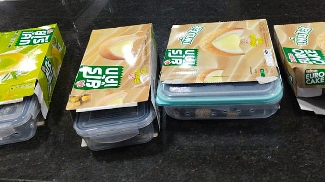 DRI sleuths rescue 6 exotic eastern blue tongued lizards at Vizag airport