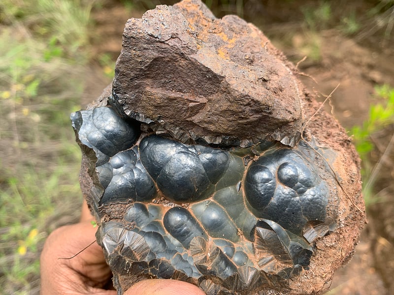 The forgotten trails of Francis Buchanan