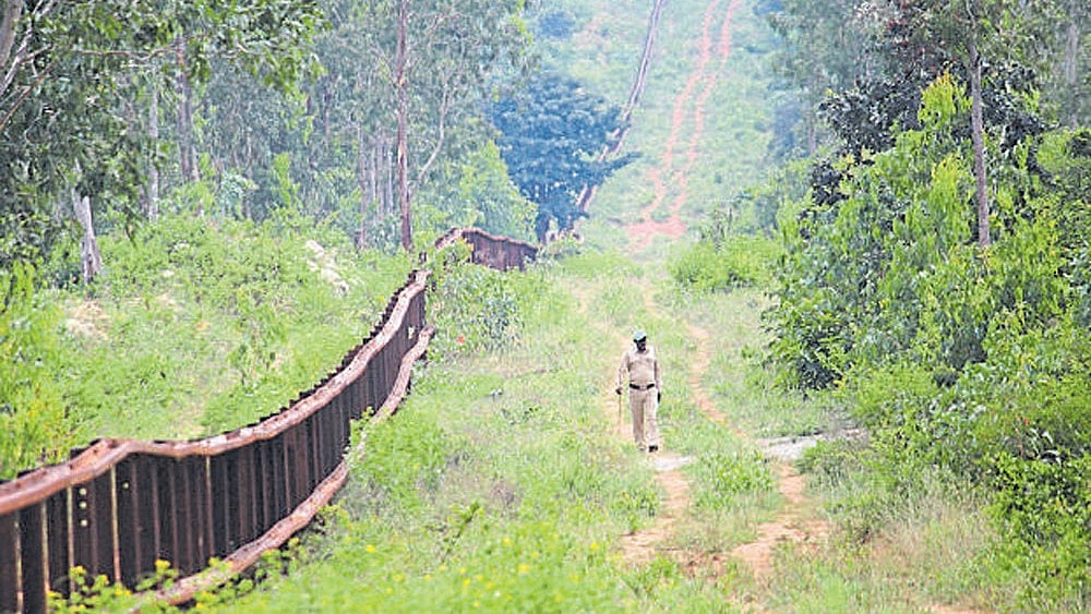 Three women stranded in dense forest rescued