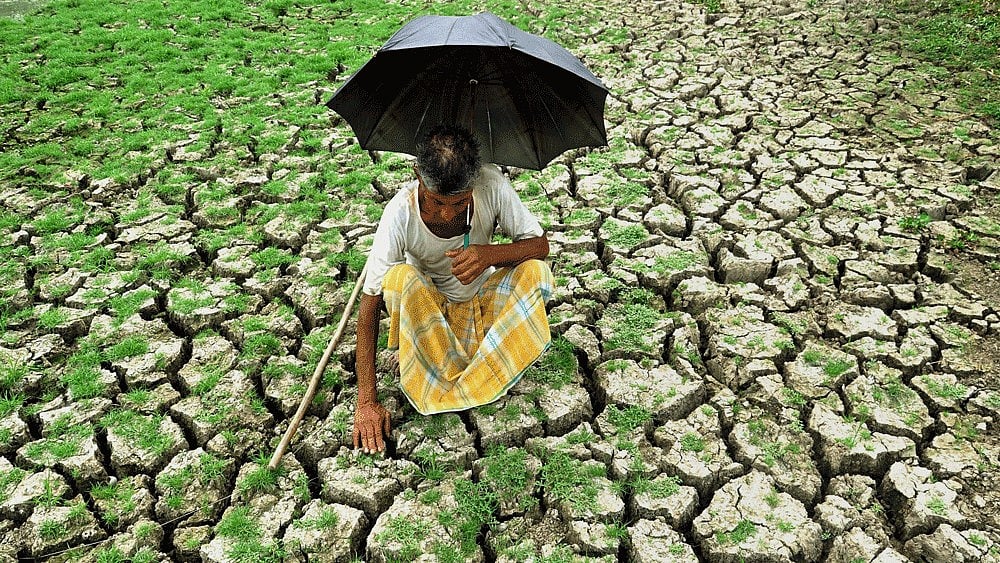 Scientists Urge Overhaul of Food Systems to ‘Bend the Curve’ on Land ...