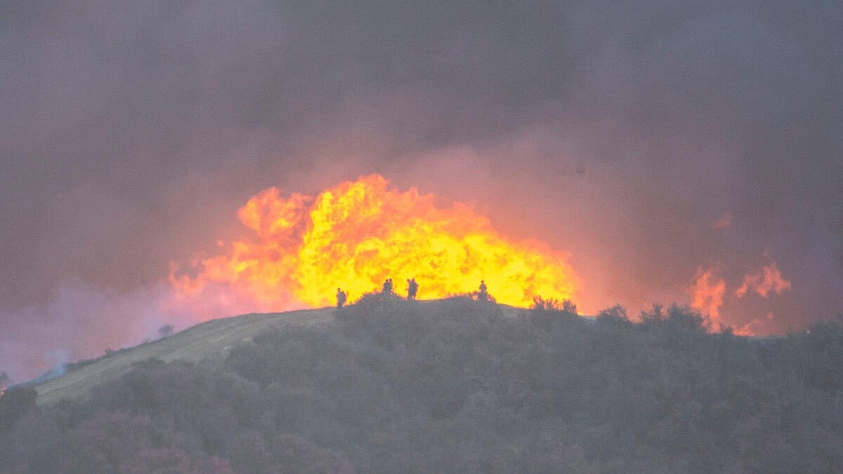 What the wildfires portend