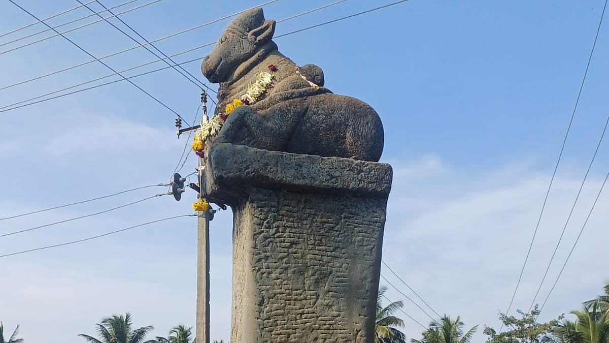 Discovering a heritage of devotion