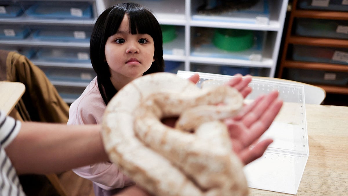 Coffee and snake - Taipei pet shop aims to break down prejudice against ...