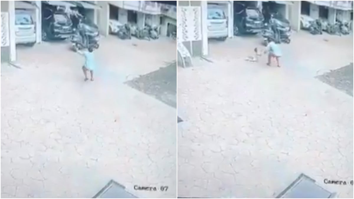 Watch | Toddler survives fall from 13th floor balcony due to man's ...
