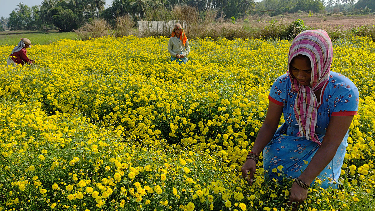 Hemmadi’s floral offering