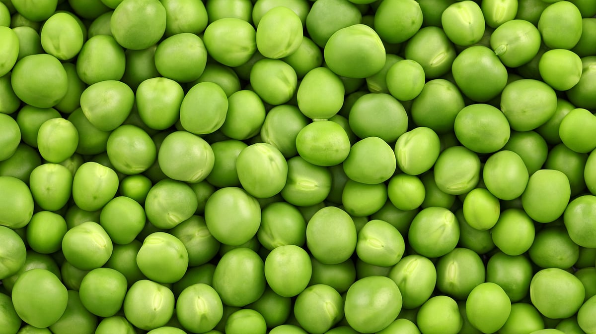 Food Safety and Drug Administration in Karnataka found fried green peas ...