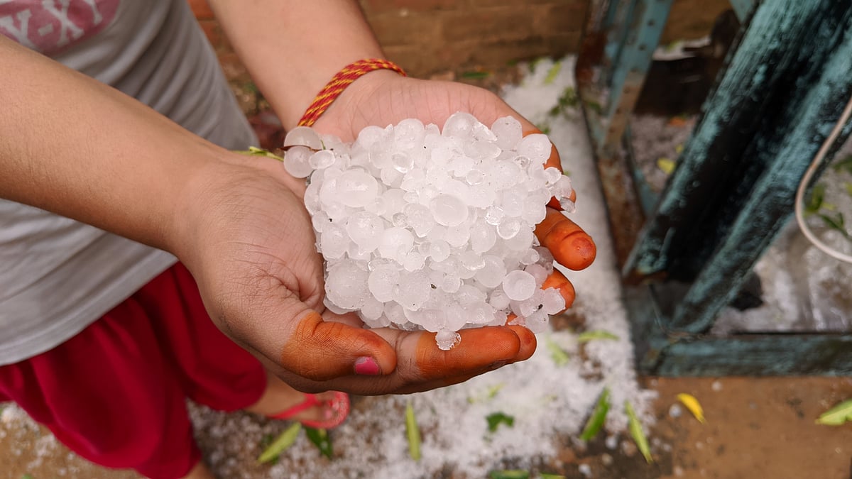 Rain, hailstorm hit several regions of Rajasthan, CM orders officials ...