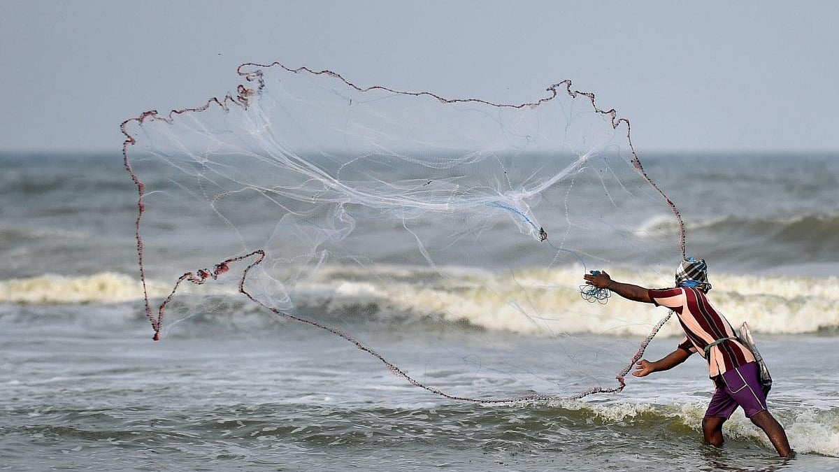 Doomsday Fish Tamil Nadu: Rare Oarfish Sighting Sparks Panic on Coast