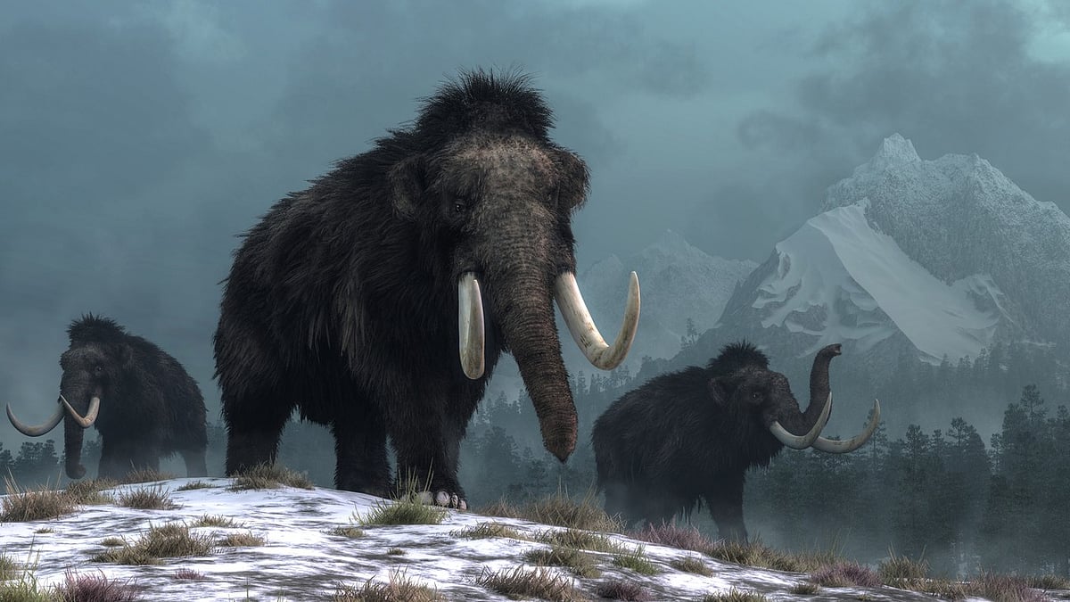 Got $10 Billion? Don’t blow it cloning a Woolly Mammoth