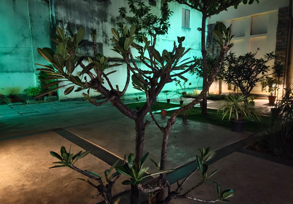 Nothing Phone (3a) review: Bang for the buck